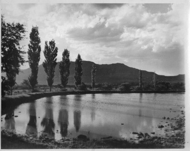 Historic buildings: tenth in The Rep series - The Rep