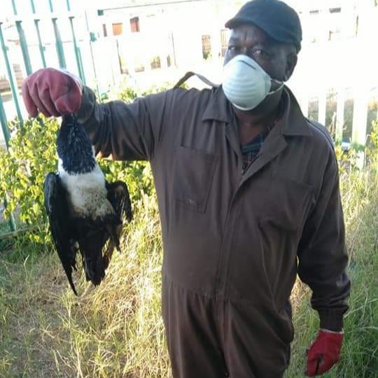 Power restored to Komani townships - The Rep