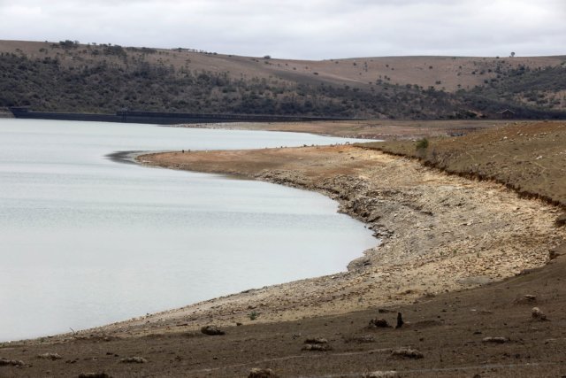 Eastern Cape dam levels - The Rep